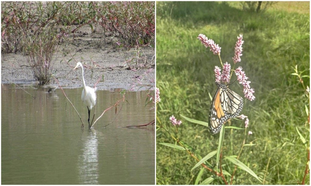 Conmemoran XIII Aniversario de Área Natural Protegida en Neutla ...
